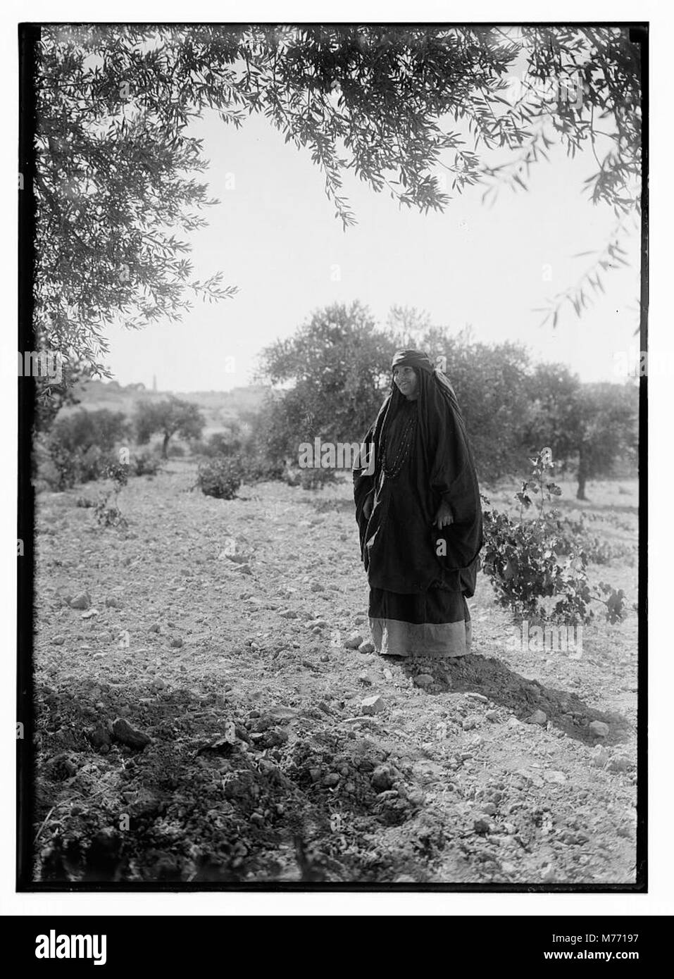 The 'Story of Ruth' depicts the biblical narrative of Ruth, focusing on ...