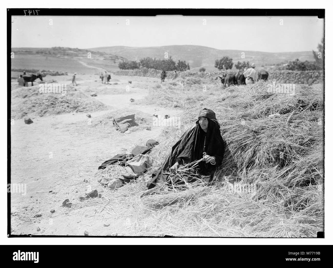 This image represents the story of Ruth, a significant biblical ...