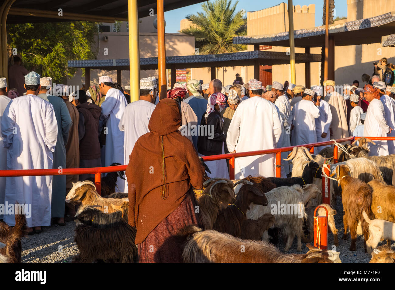 Scene on the Nizwa goat market, Nizwa, Sultanate of Oman Stock Photo ...