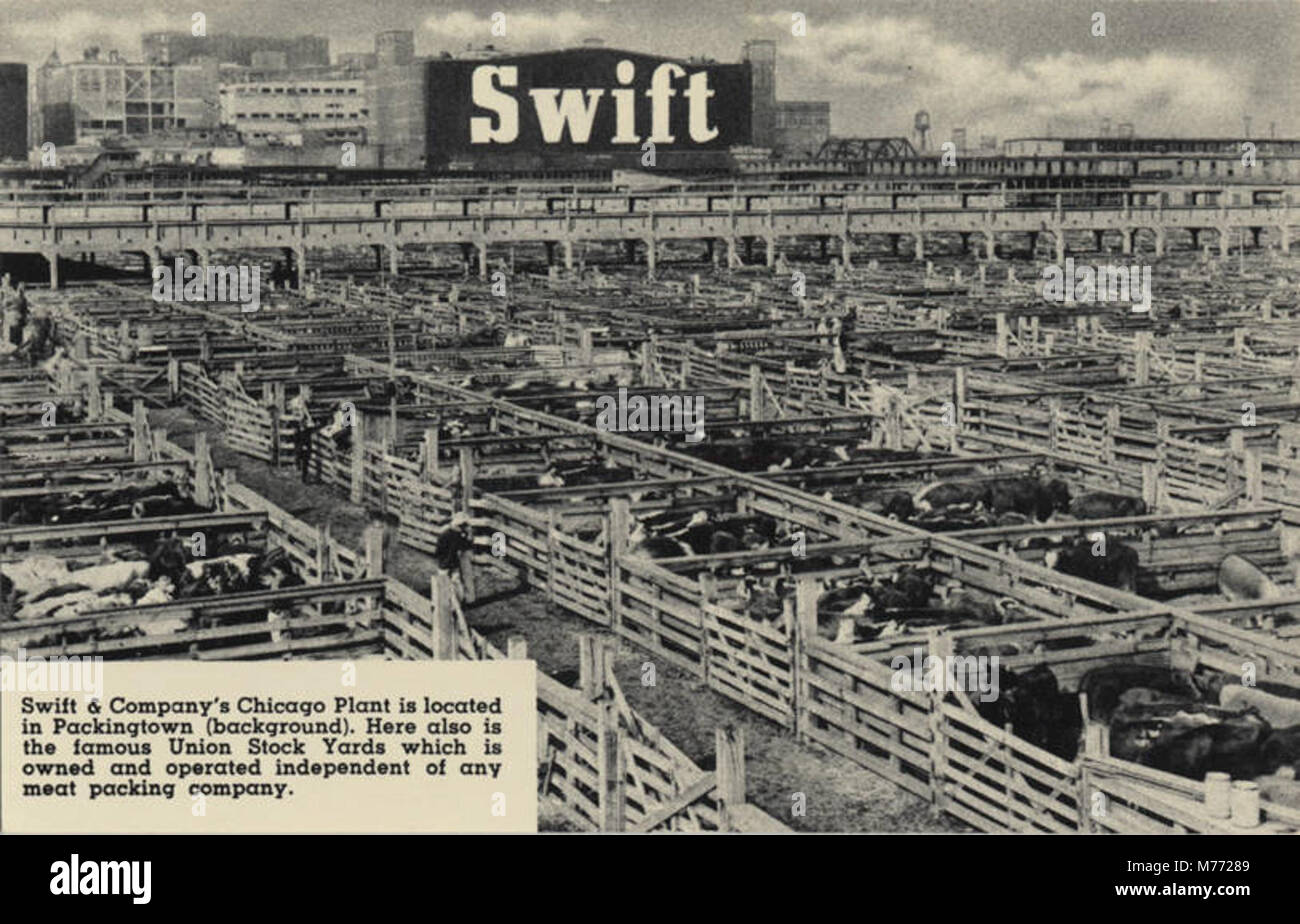 An image of the Swift & Company plant in Chicago, located in Packington ...