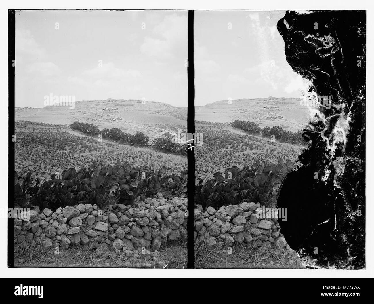 Tell beit mirsim Black and White Stock Photos & Images - Alamy