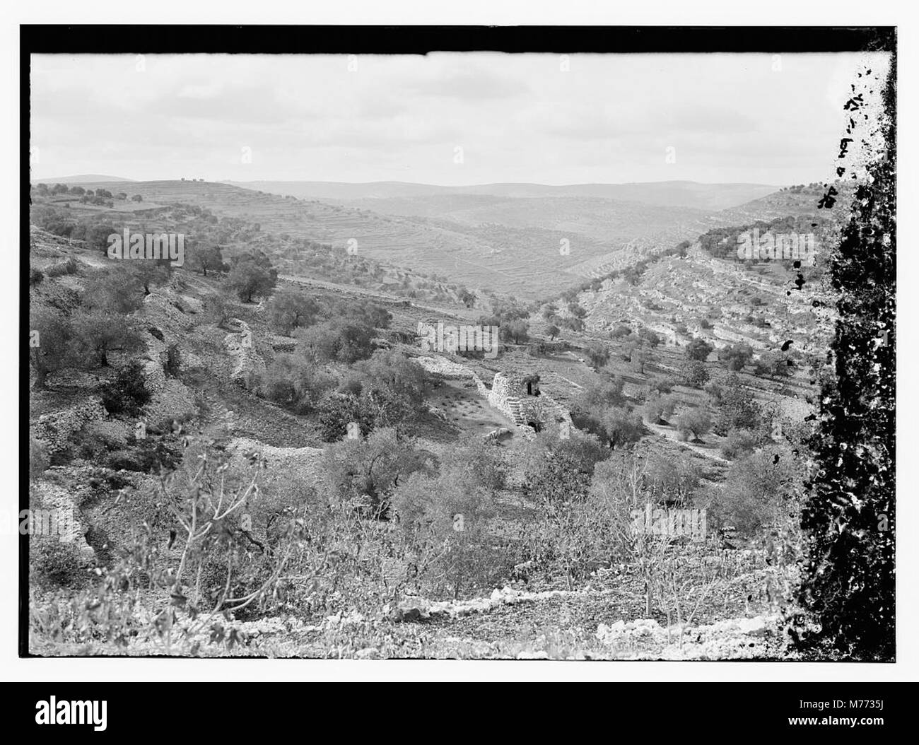 A scenic view of terraced hillsides with watch towers, showcasing an ...