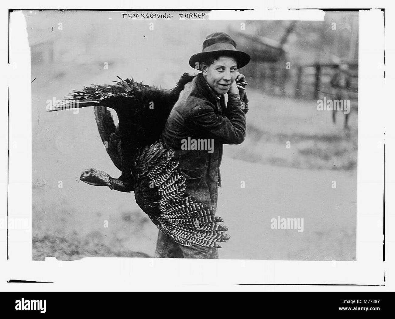 A traditional Thanksgiving turkey, shown in this photograph, represents ...