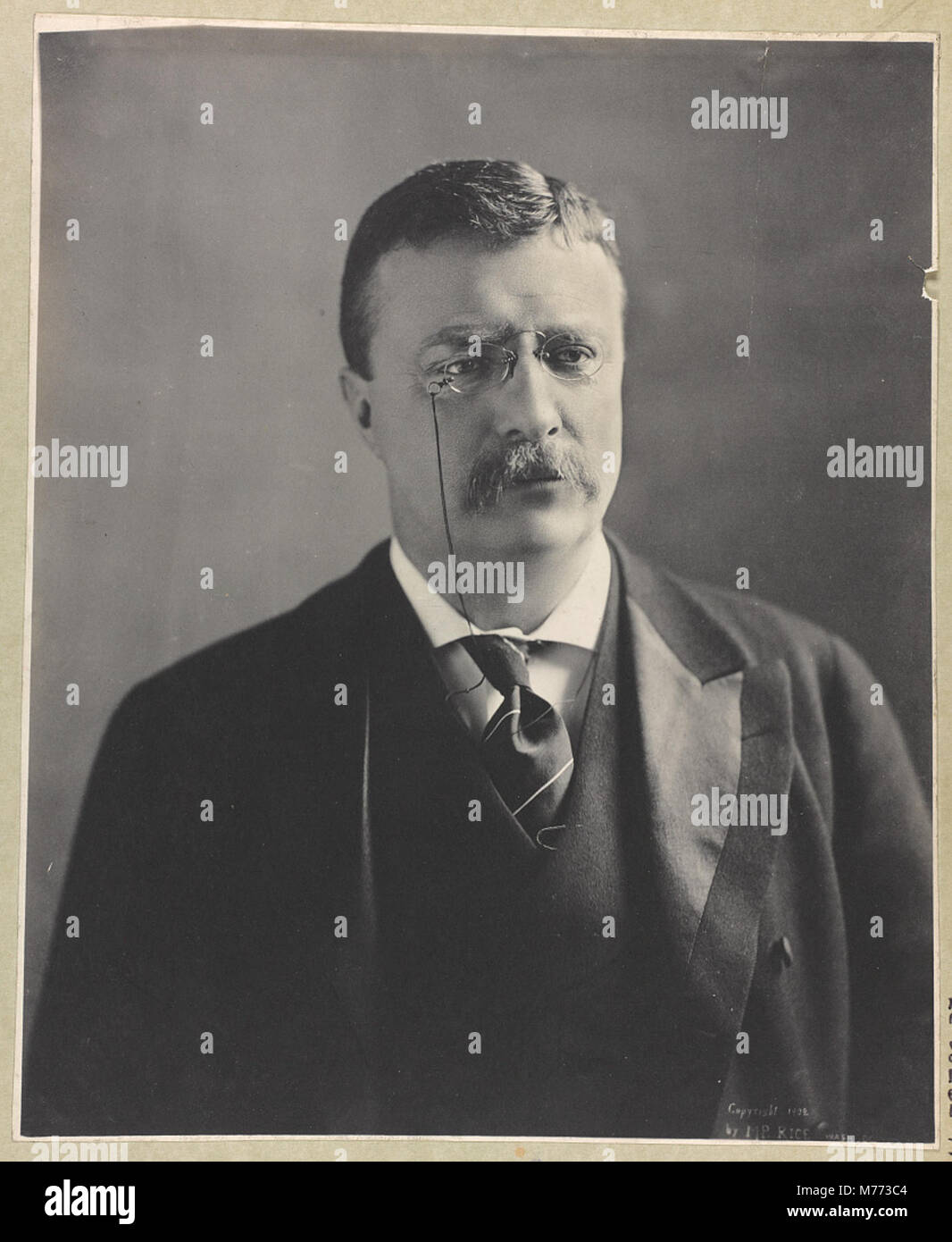 A bust portrait of Theodore Roosevelt, showing his face in profile and ...