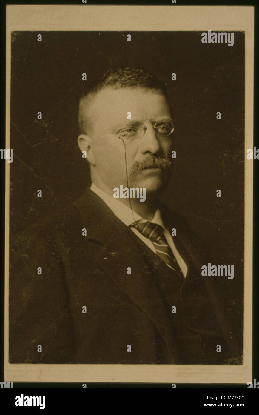 This image portrays Theodore Roosevelt, the 26th President of the ...