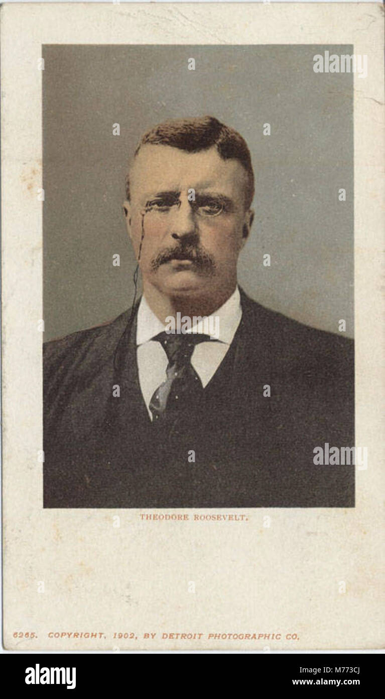 A portrait of Theodore Roosevelt, the 26th President of the United ...