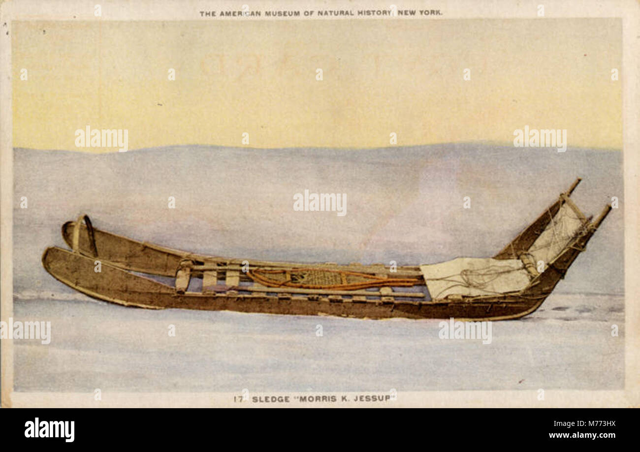 A historical photograph of the American Museum of Natural History's ...