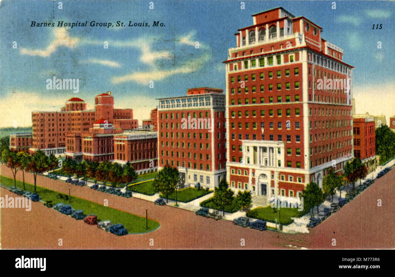 This photograph shows the Barnes Hospital Group, a medical complex ...