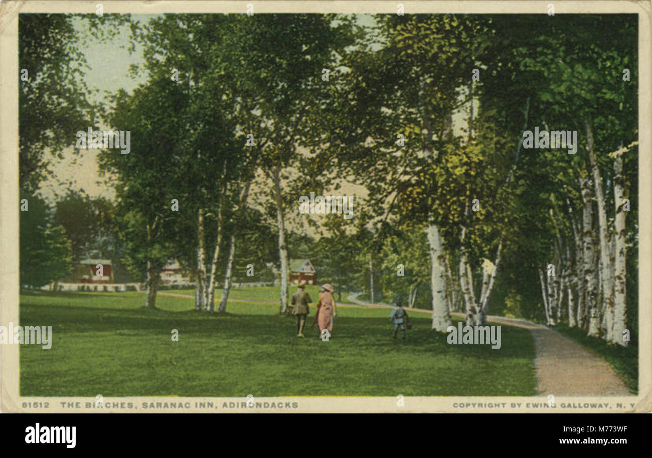An image of The Birches, a location near Saranac Inn, showing the ...