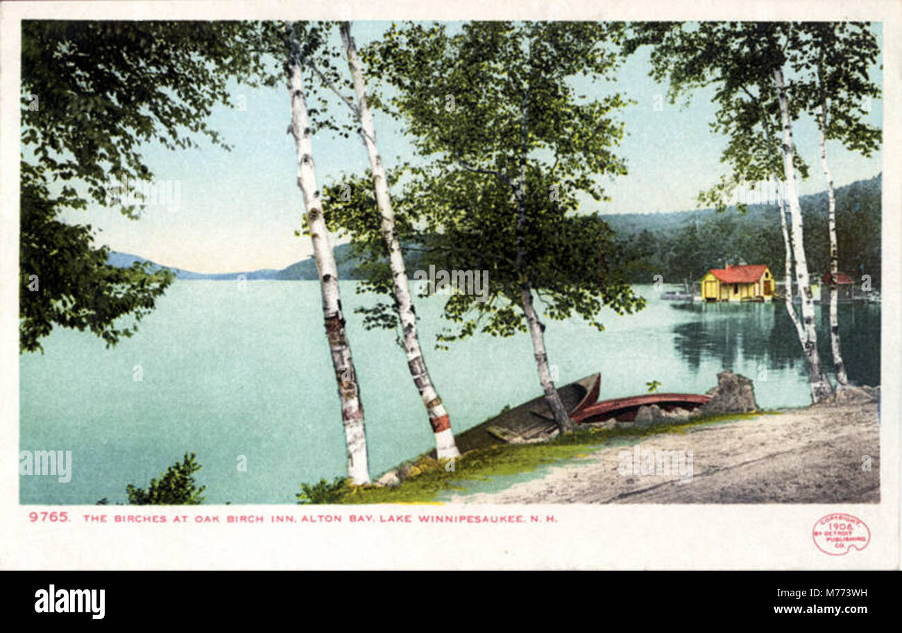 This photograph captures the scenic birch trees surrounding the Oak ...