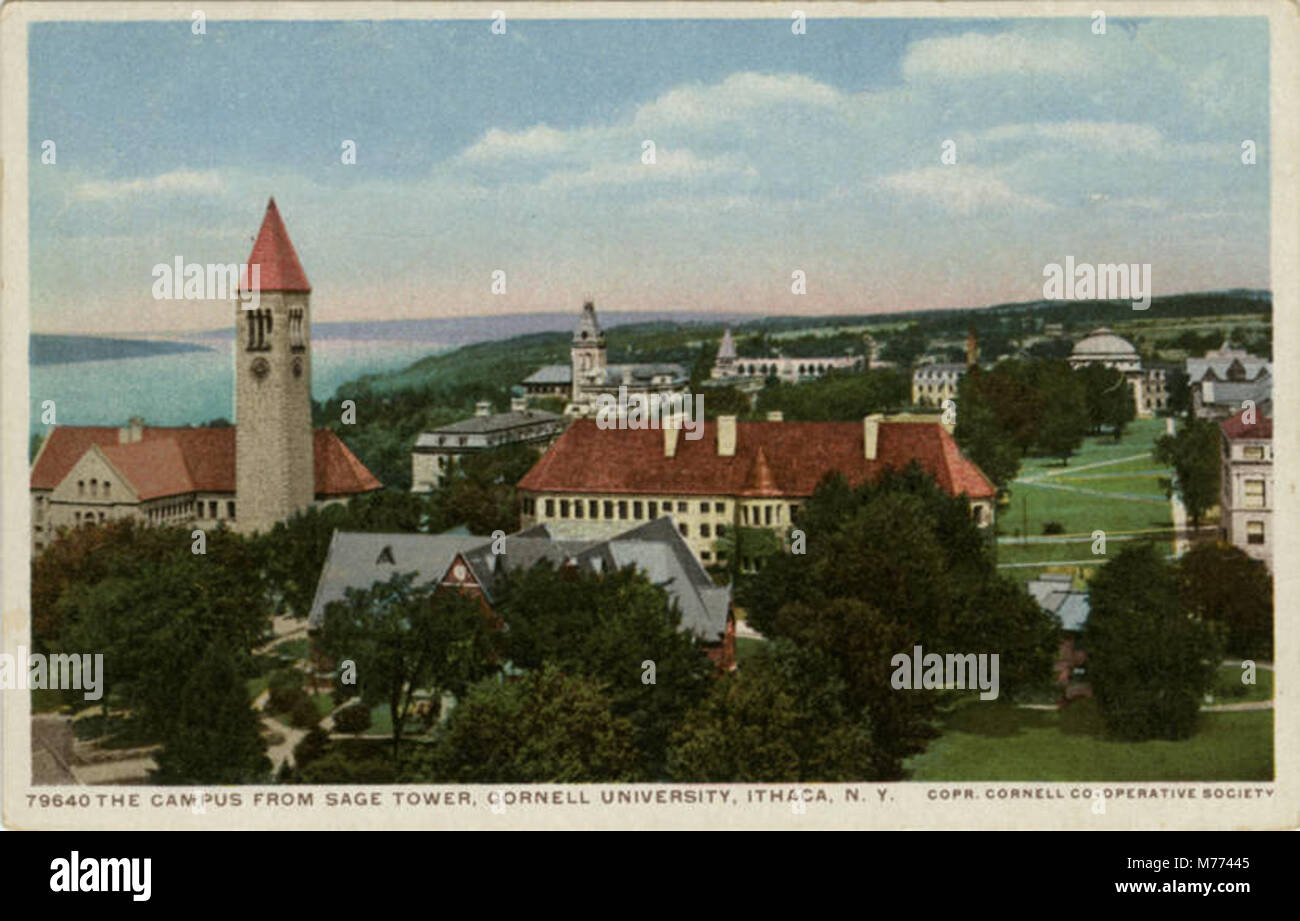 A panoramic view from Sage Tower at Cornell University, offering a bird ...