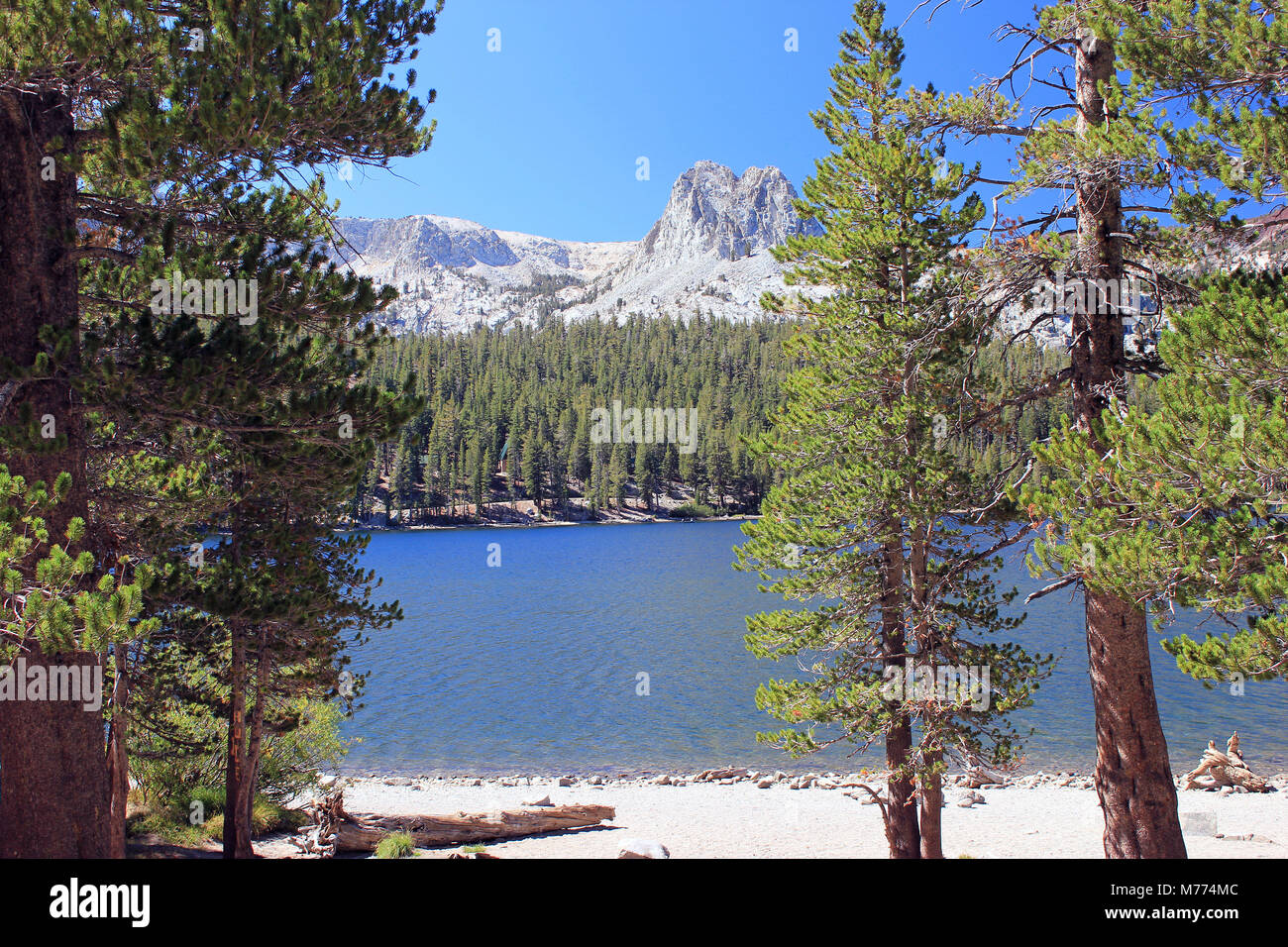 Mammoth california hi-res stock photography and images - Alamy