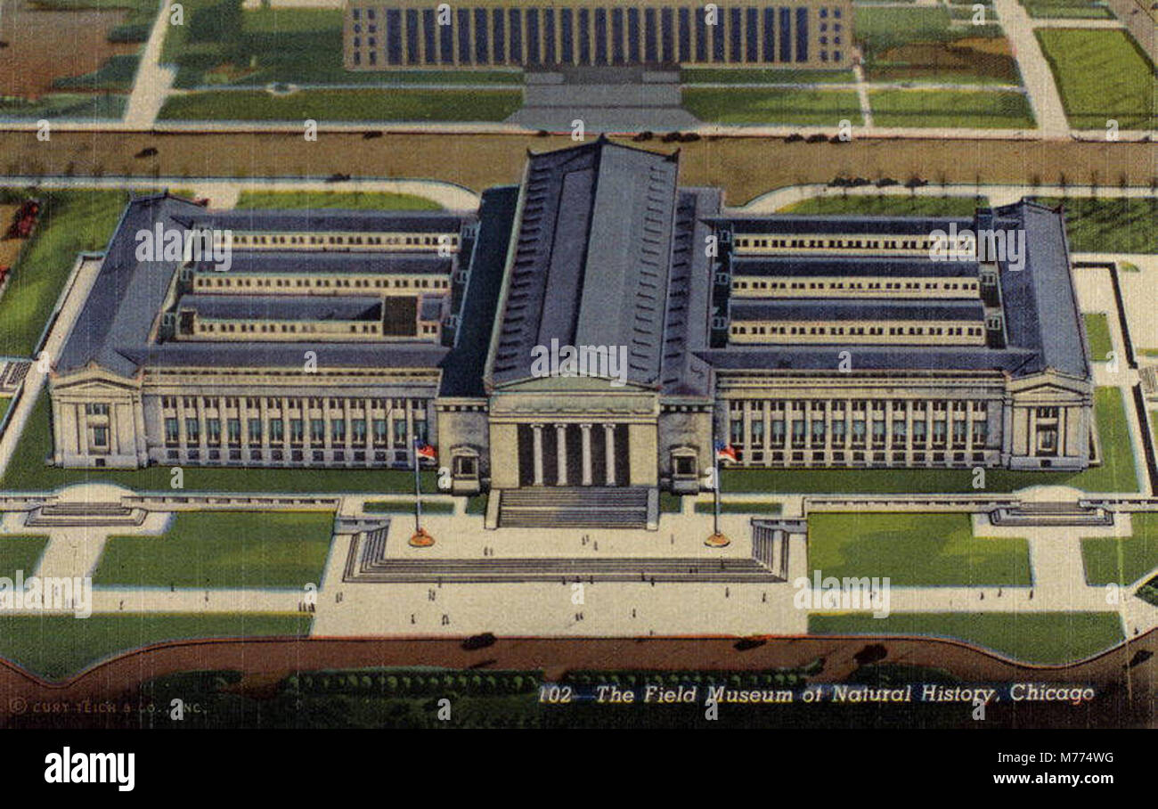 The Field Museum of Natural History in Chicago is one of the largest ...