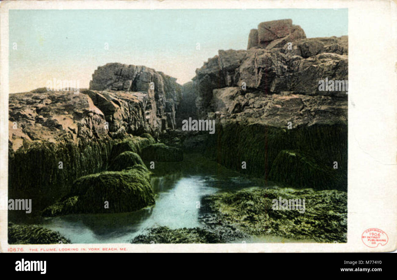 This photograph captures the Flume, a natural feature known for its ...