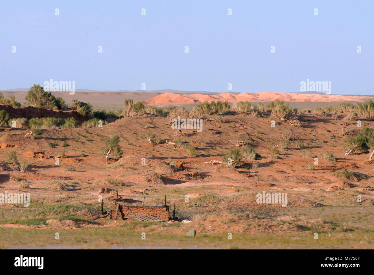 A brick wall is the only sign of human life in the sparse wilderness of ...