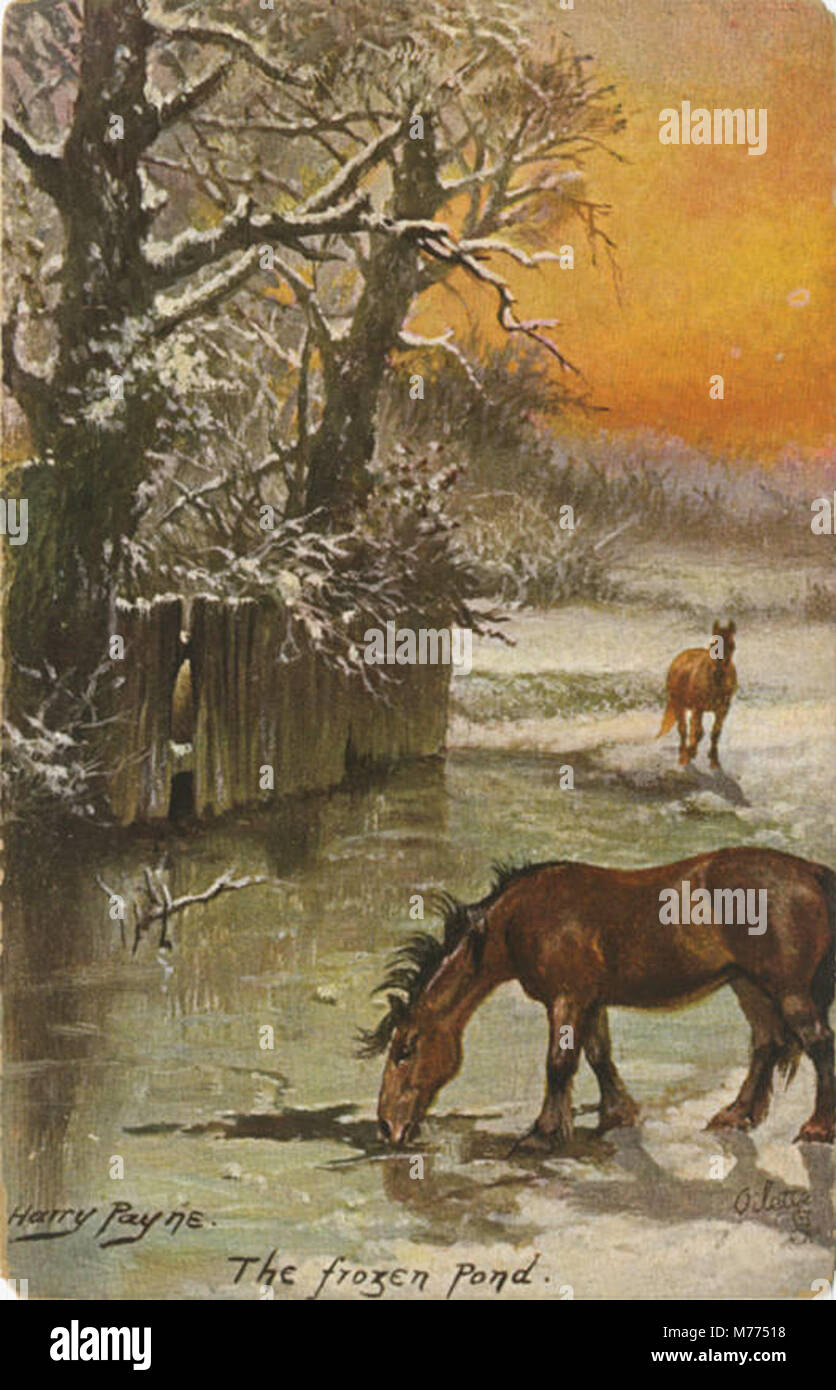 This image shows a frozen pond, capturing a serene winter scene. The ...