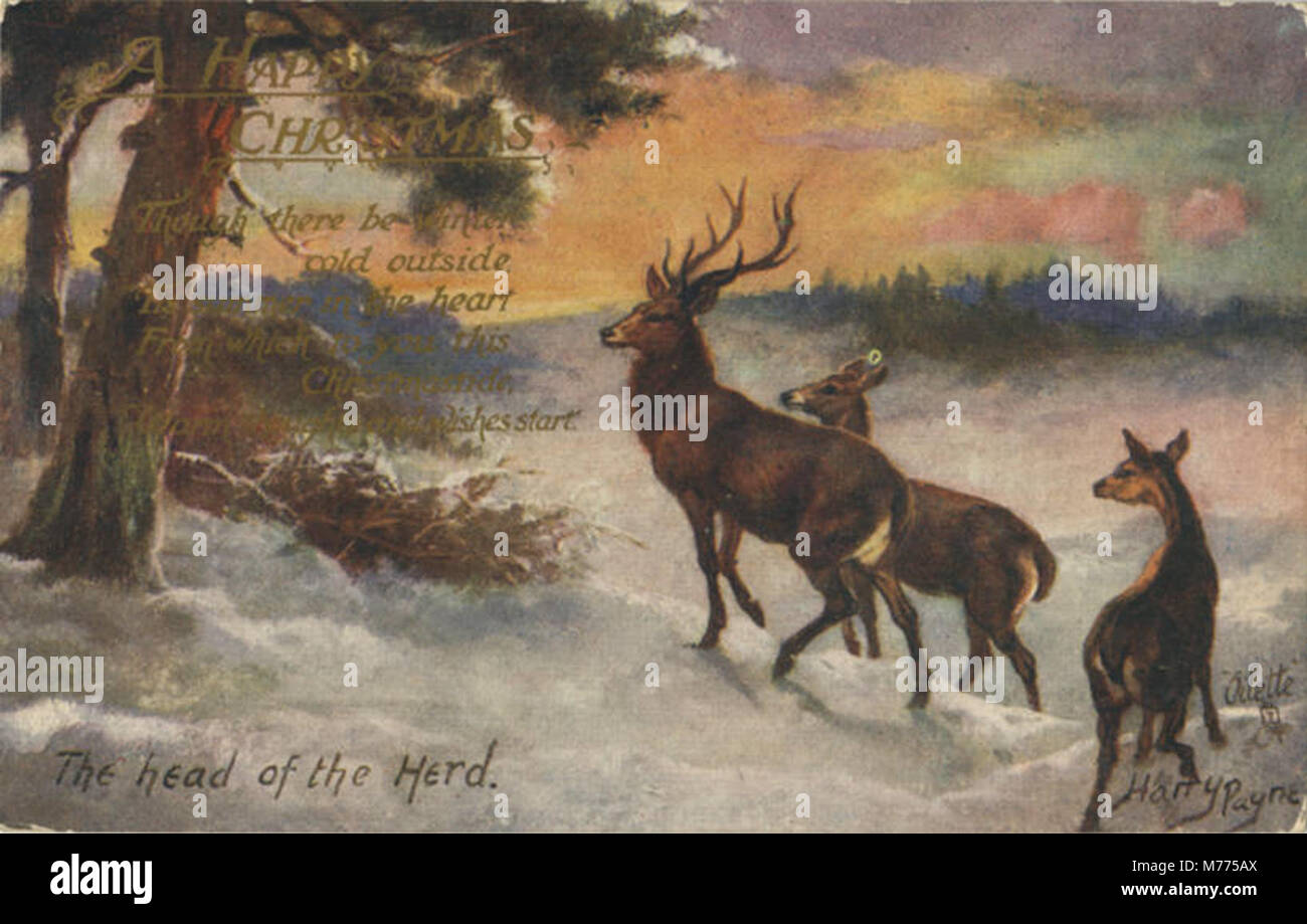 The image portrays a large herd of animals with the focus on the ...