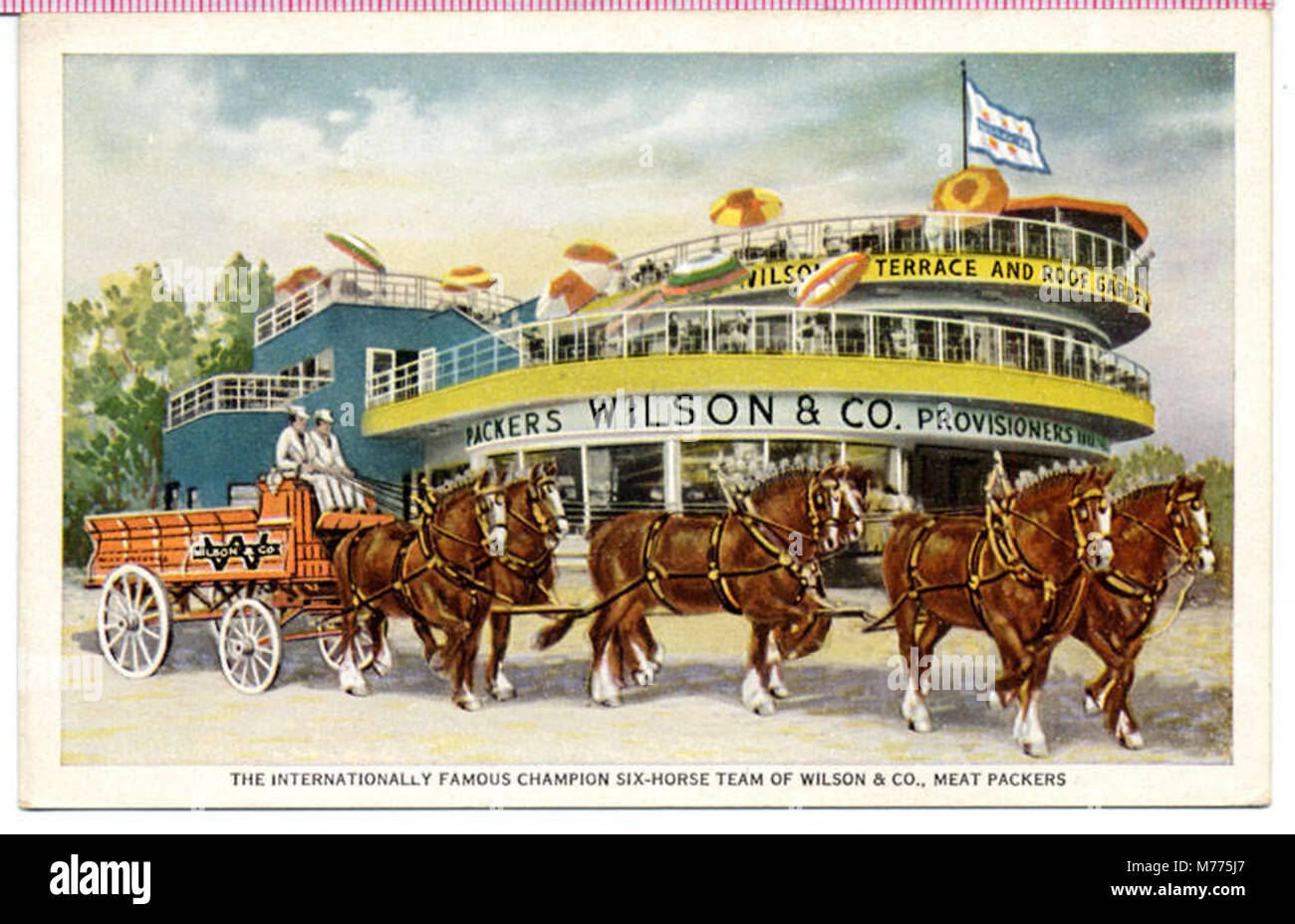 The Internationally Famous Champion Six-Horse Team Of Wilson & Co ...