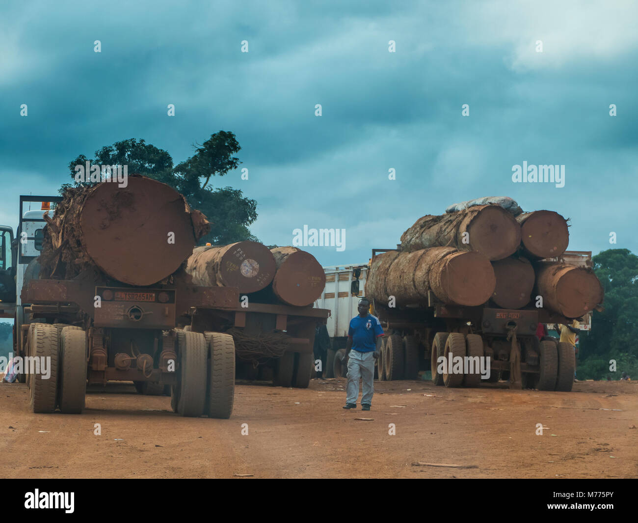 Logging trucks hi-res stock photography and images - Alamy