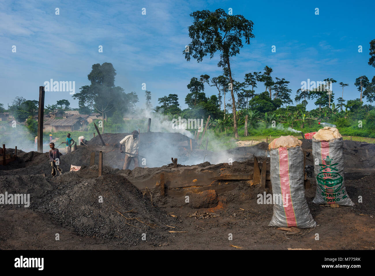 Coal production out of wood (charcoal), Libongo, deep in the jungle ...
