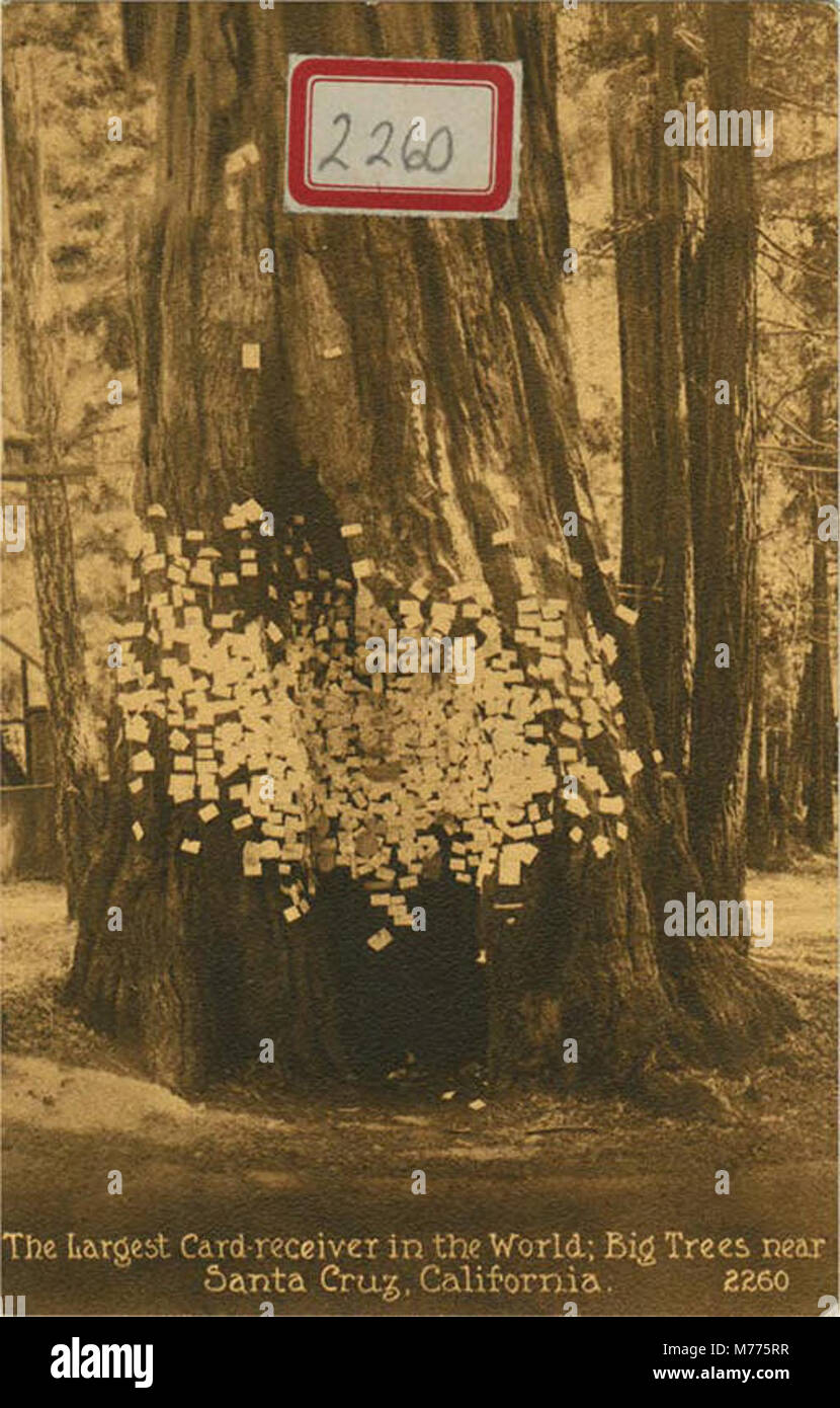 A photograph of the world’s largest card receiver, with postcards ...