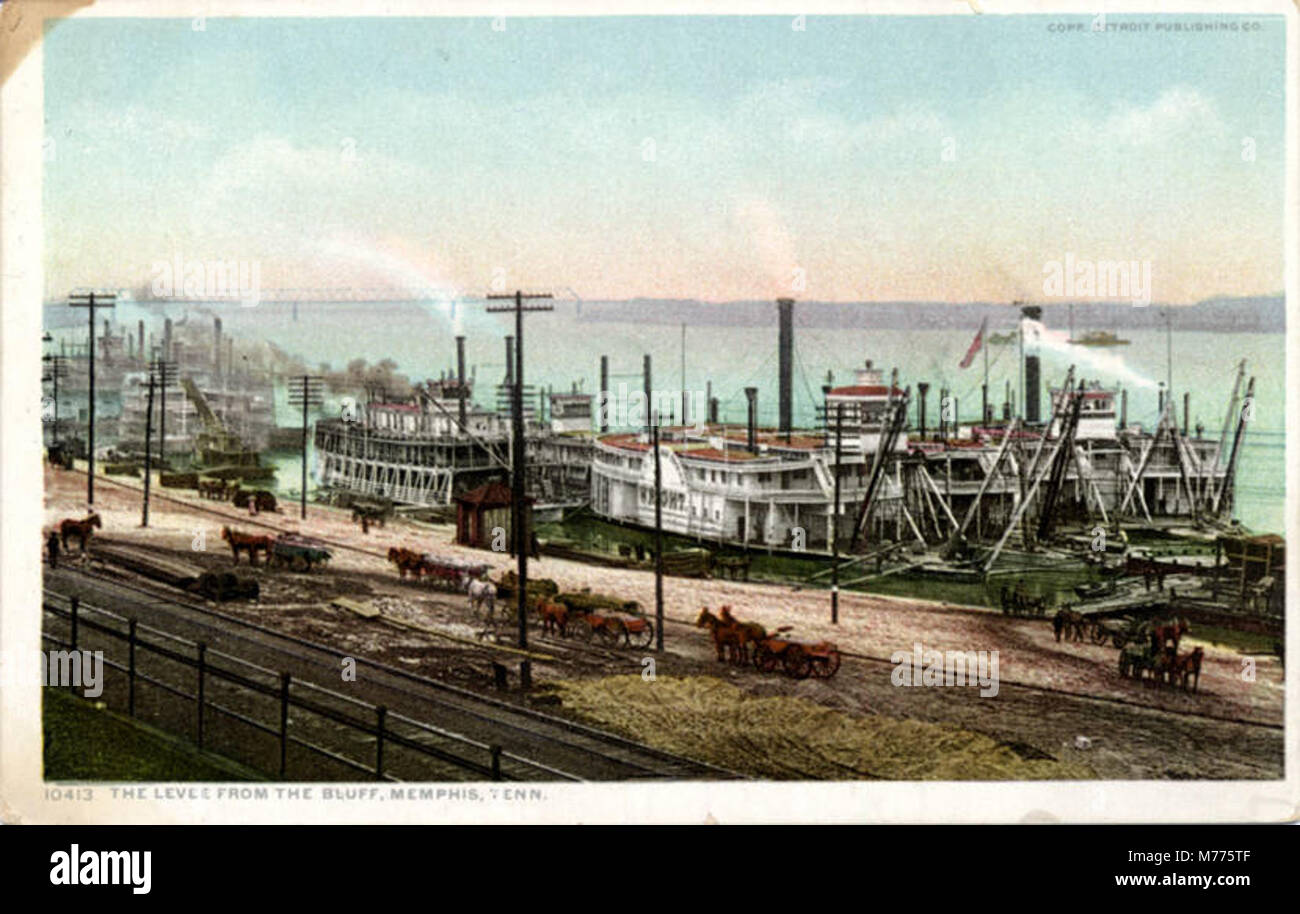 A view of the levee from a bluff, illustrating the landscape and ...