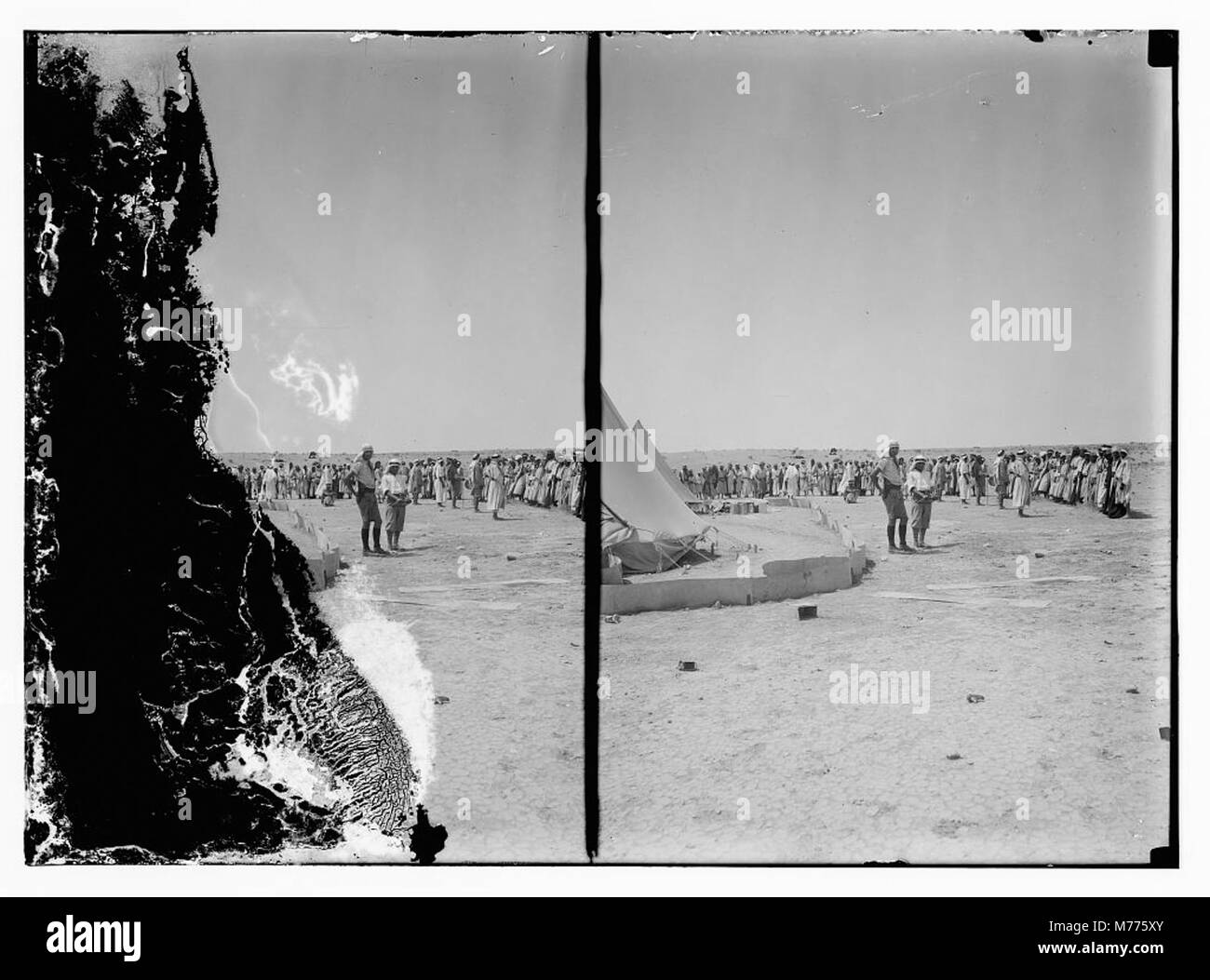 A historic photograph capturing the devastating locust plague at a camp ...