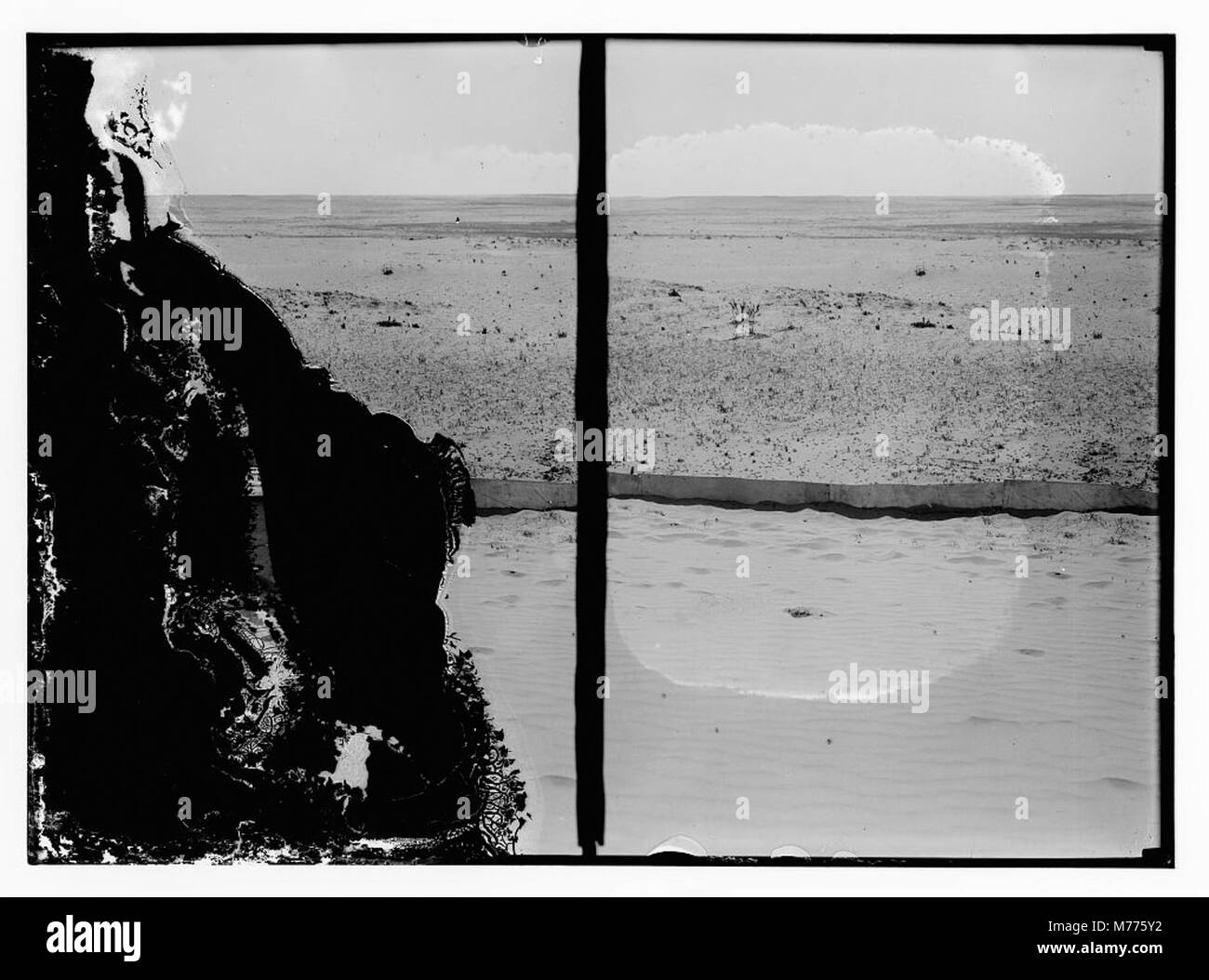 A photograph depicting the devastating locust plague, showcasing the ...