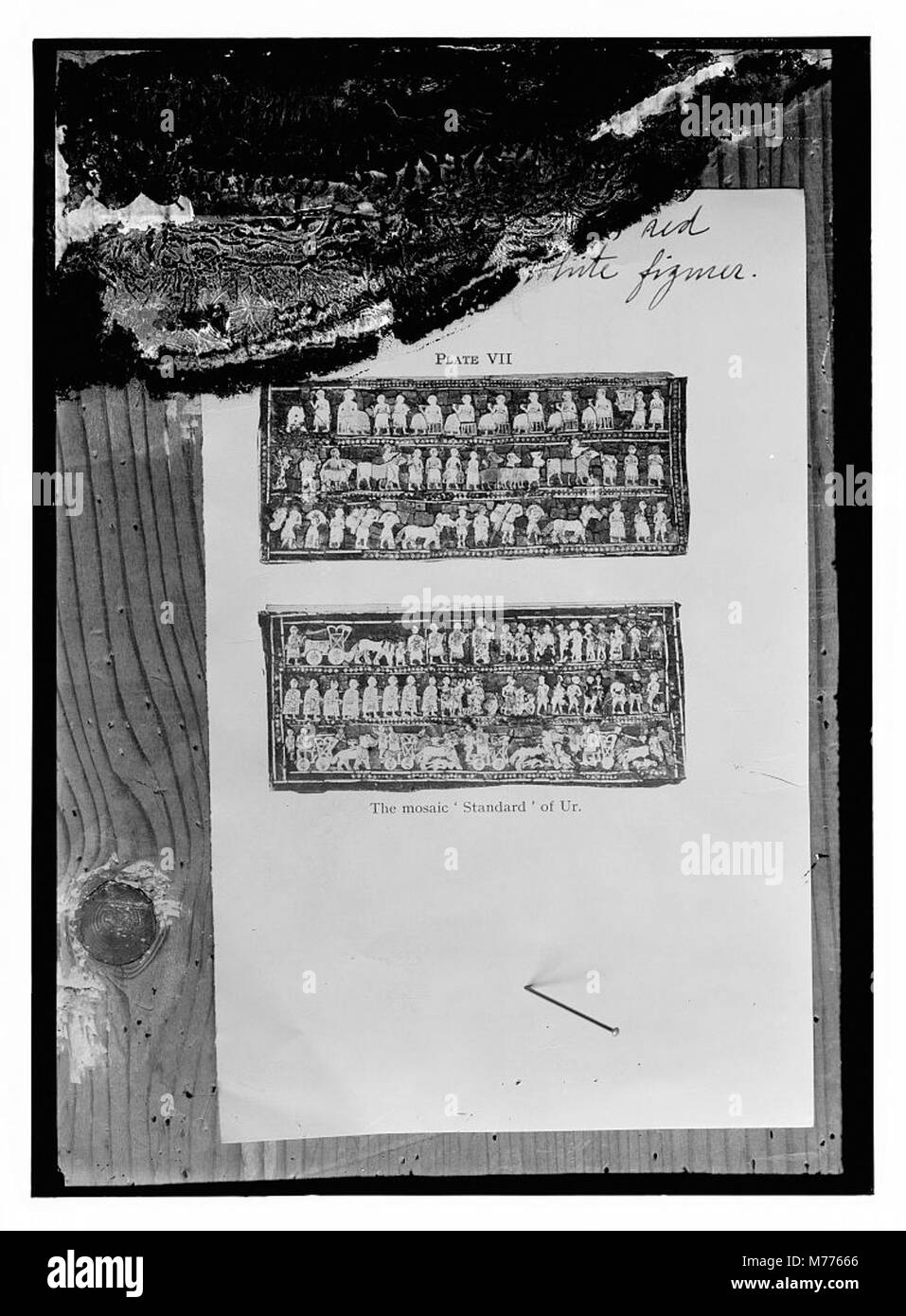 A photograph showcasing the Mosaic Standard of Ur, a renowned artifact ...