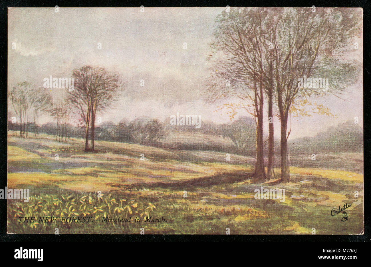 A scenic photograph of Minstead in the New Forest during March ...