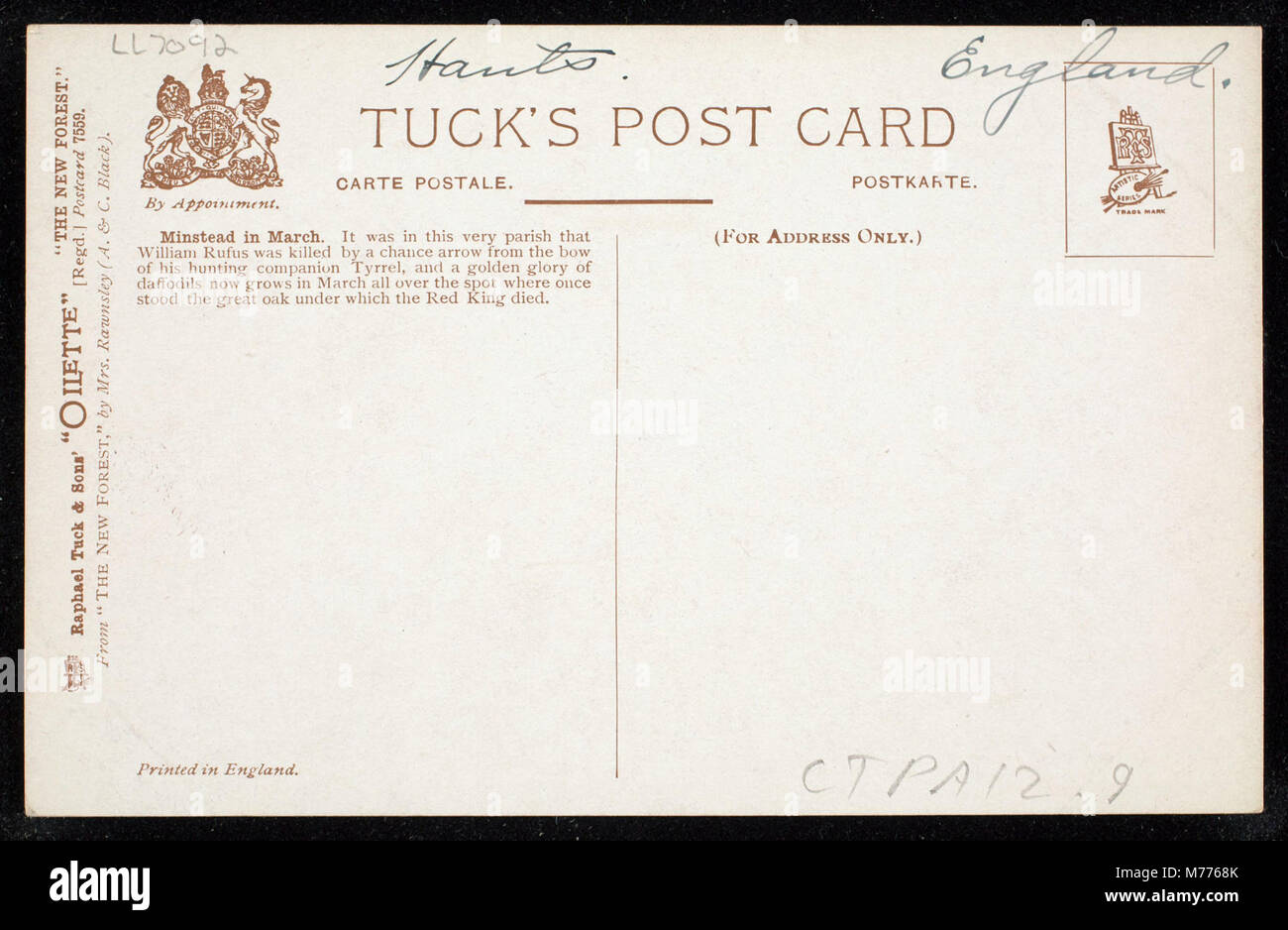 This image presents Minstead in the New Forest, England, during March ...