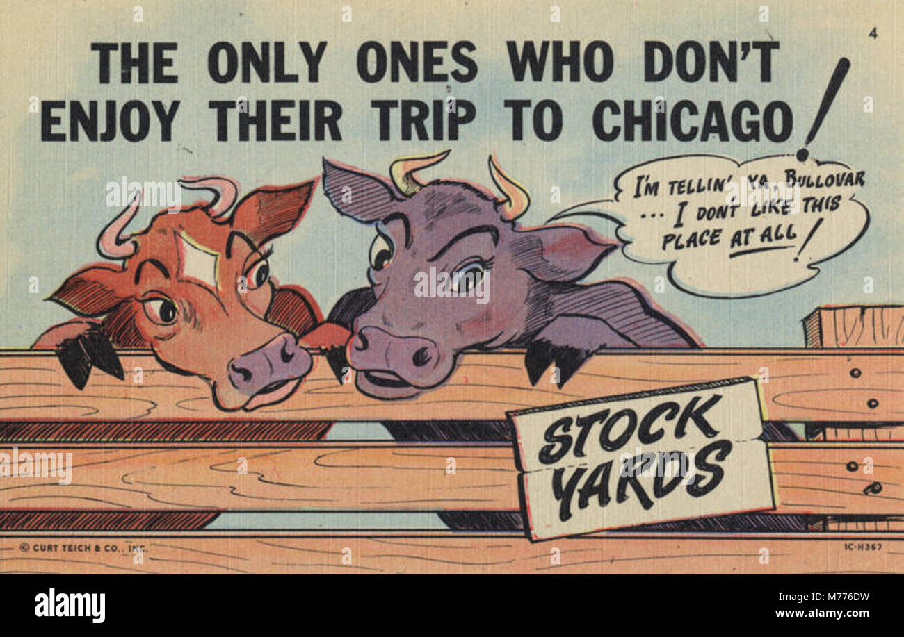 A humorous photograph of travelers on a trip to Chicago, depicting some ...