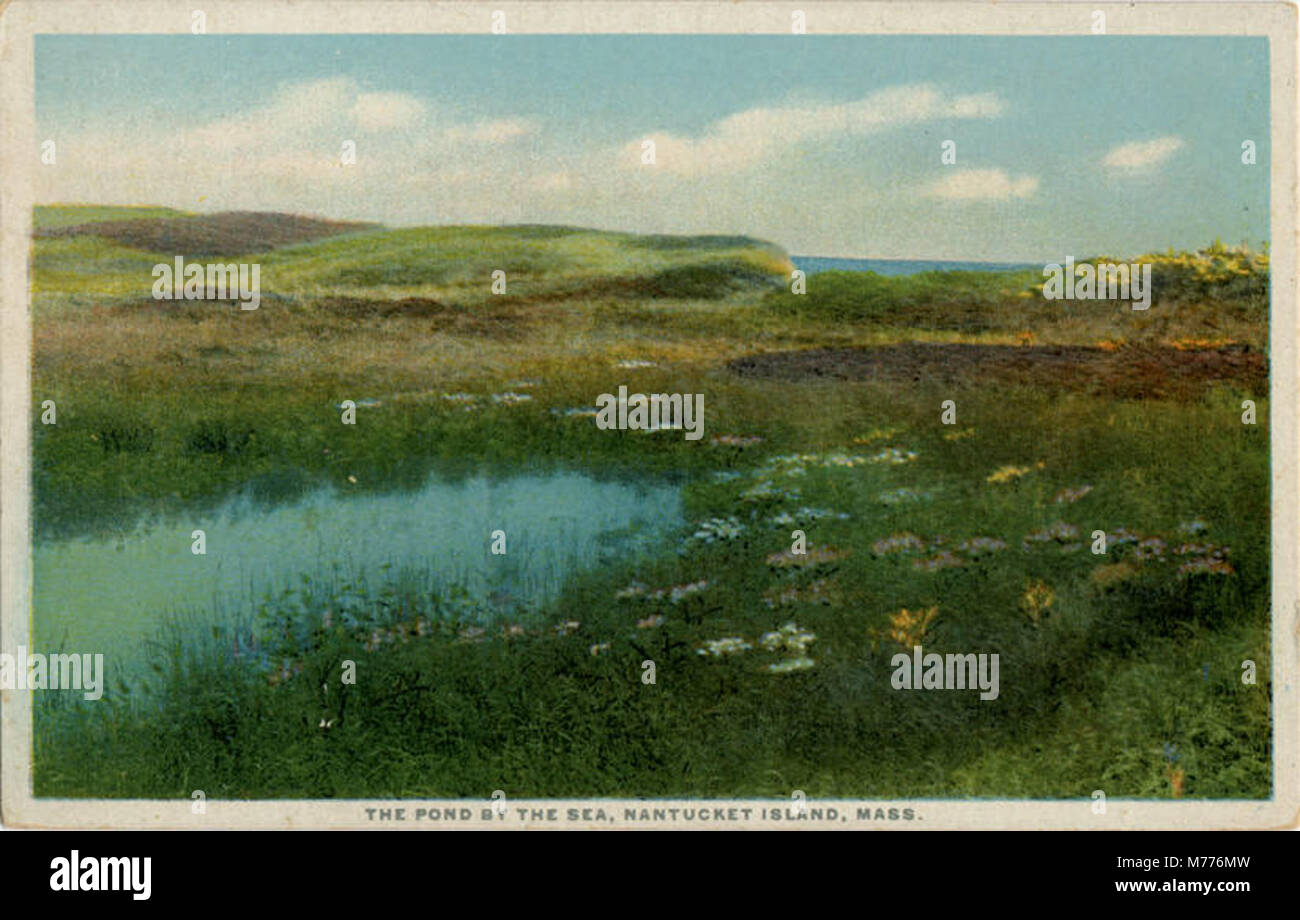 A scenic photograph of a pond by the sea, possibly capturing the serene ...