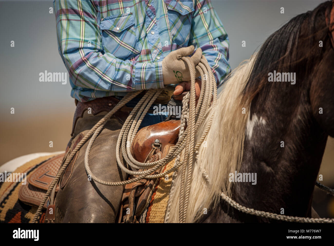 closeup of cowboy with rope Stock Photo - Alamy