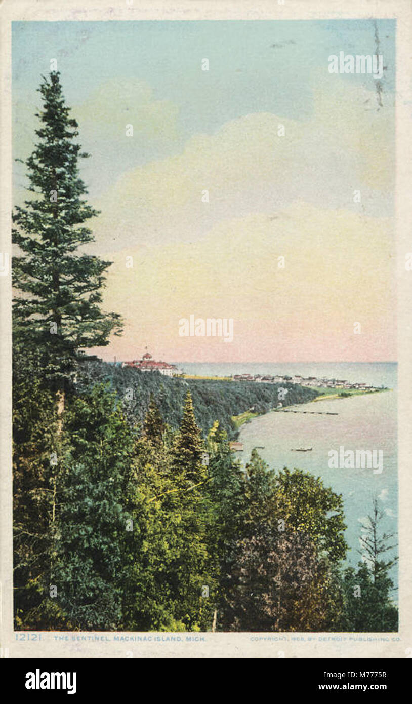 This image titled 'The Sentinel' depicts a solitary figure standing ...