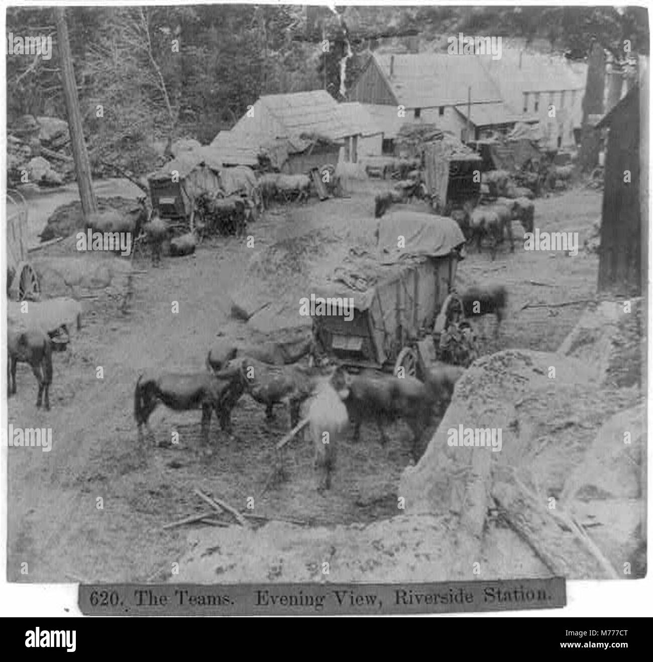 A serene evening view of the teams at Riverside Station, capturing the ...