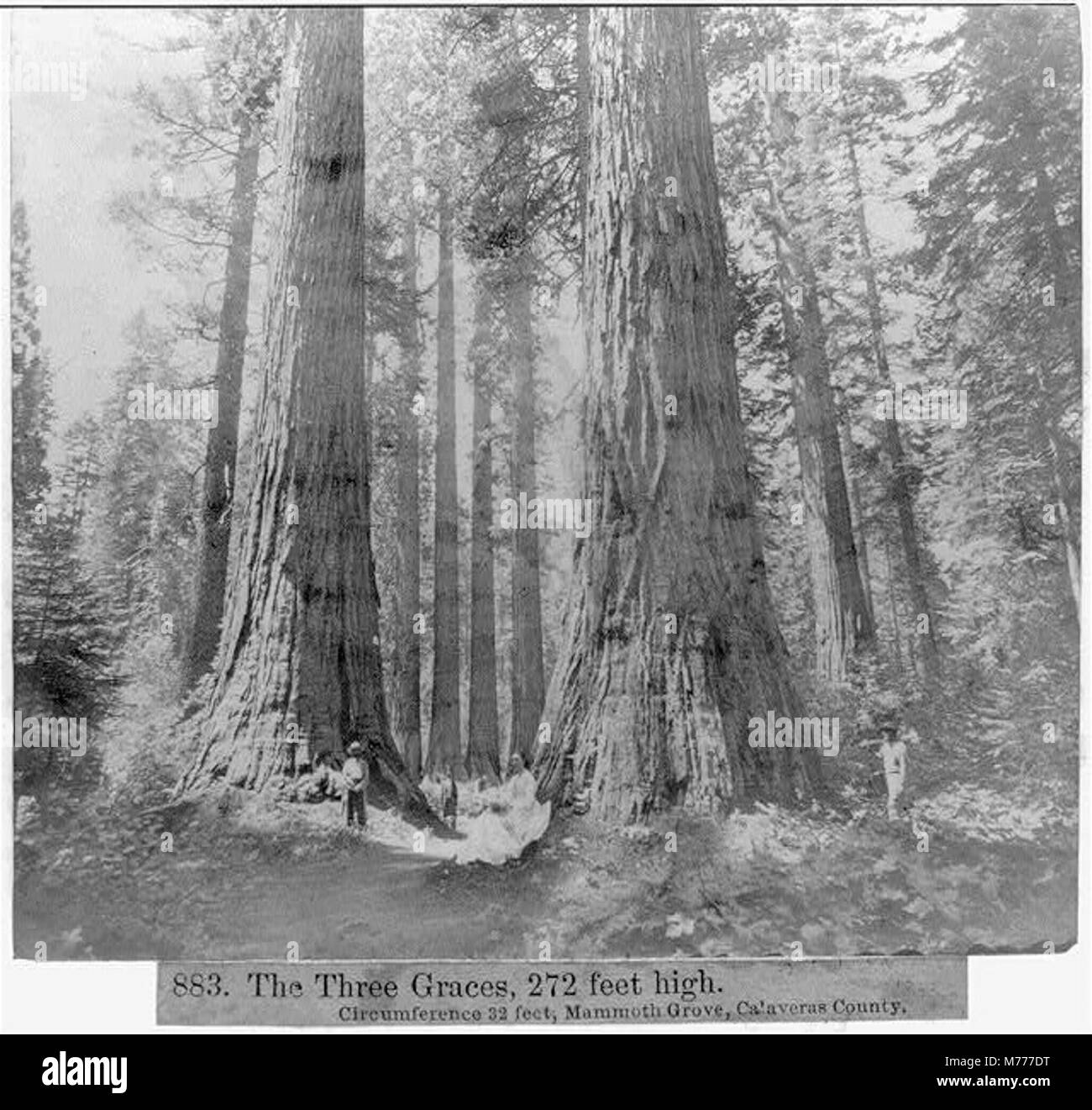 272 feet Black and White Stock Photos & Images - Alamy