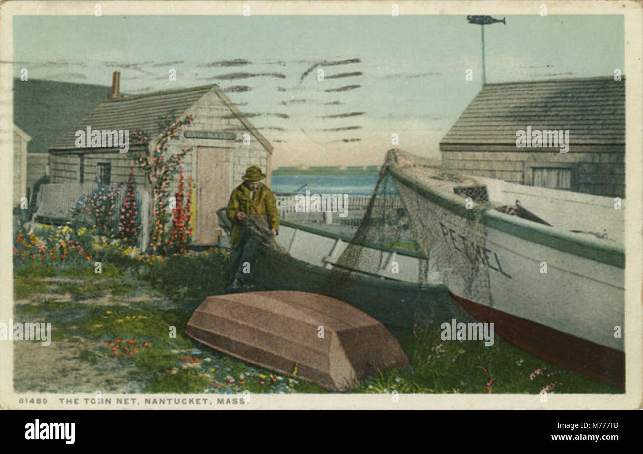 A photograph of 'The Torn Net,' an image symbolizing vulnerability ...