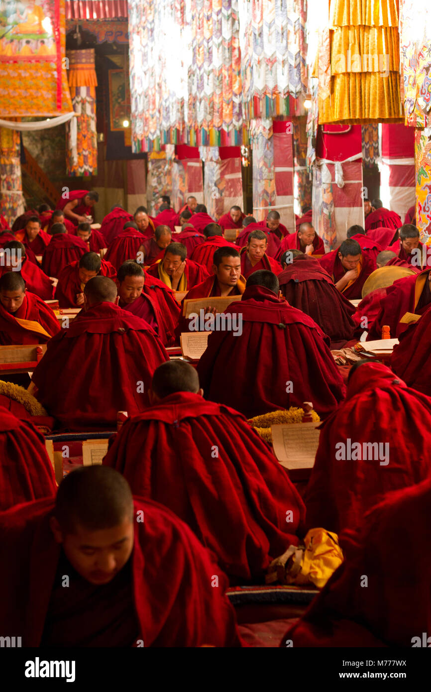Tibetan Buddhist monks studying Buddhist scripture in Drepung Monastery ...