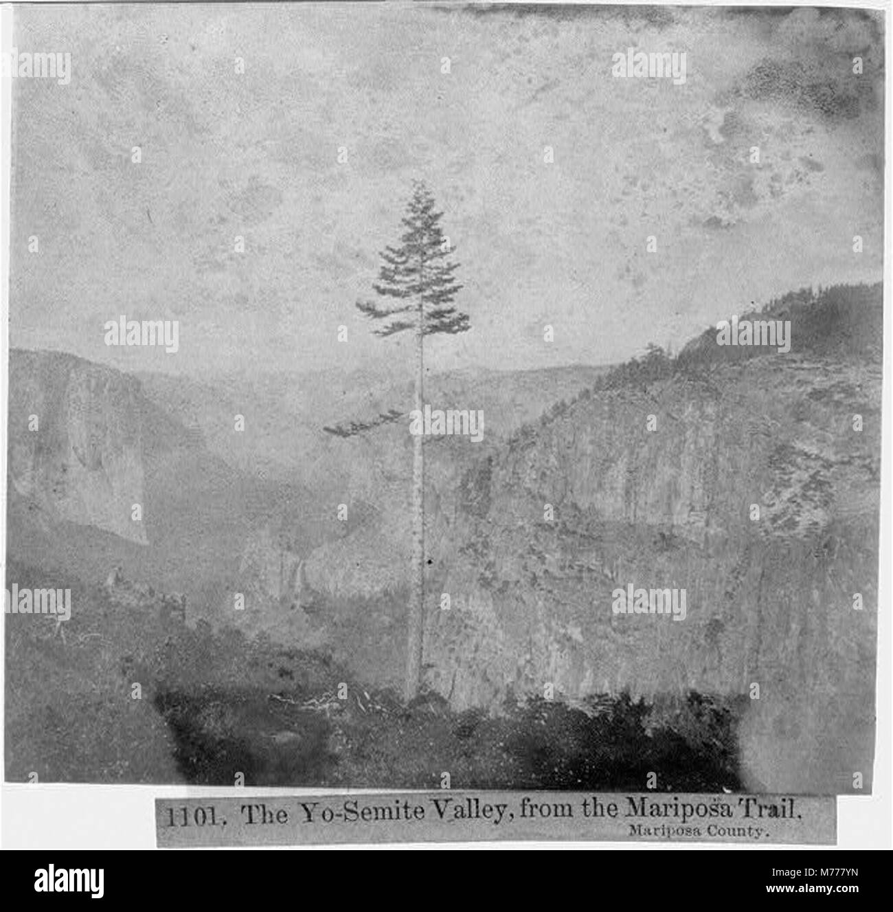 This image shows Yosemite Valley from the Mariposa Trail in Mariposa ...