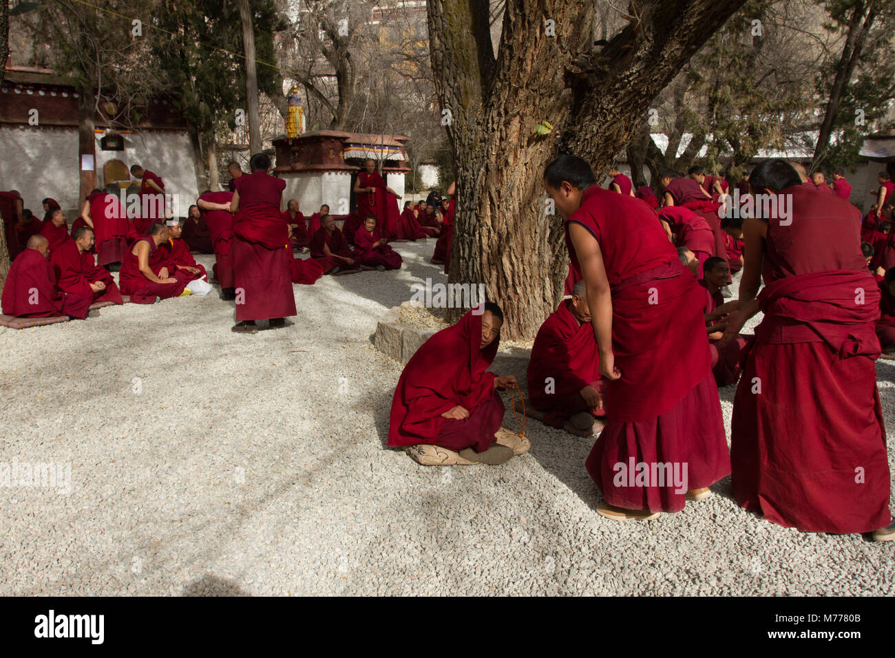 Young buddhist monk standing outside hi-res stock photography and ...