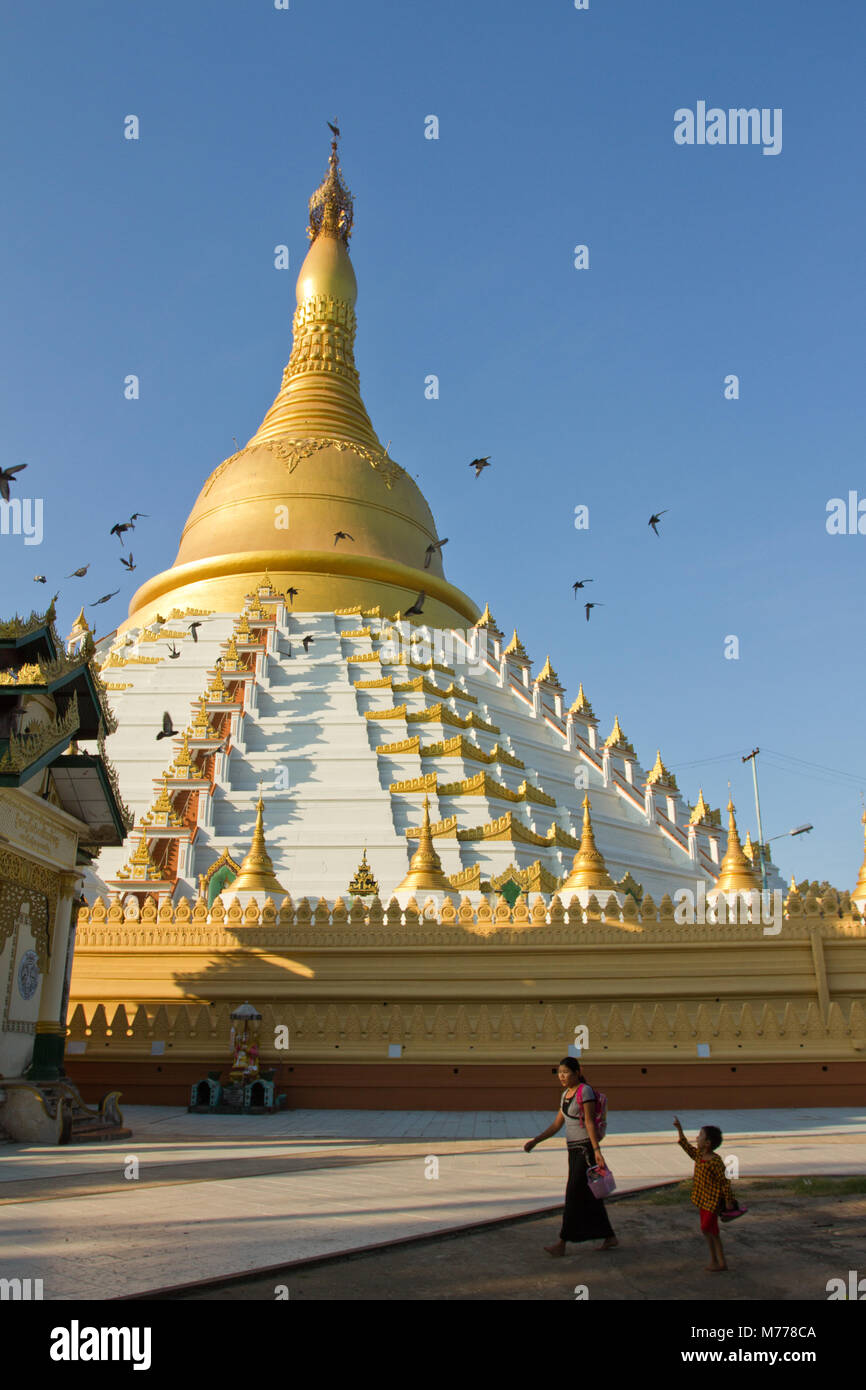 National bird of myanmar hi-res stock photography and images - Alamy