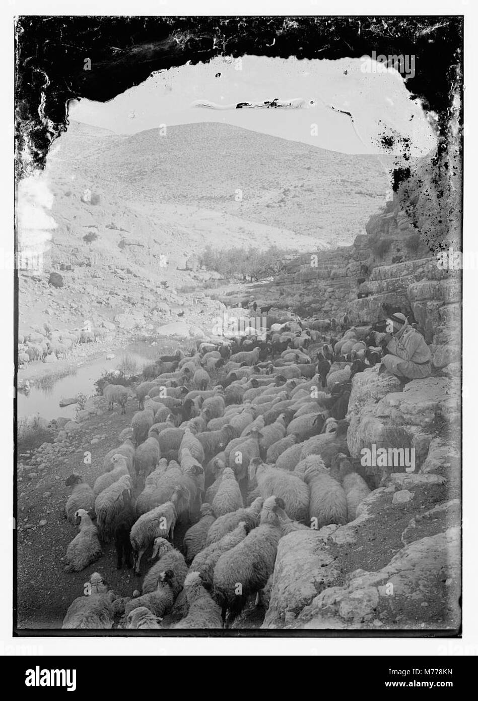 An artistic interpretation of the 23rd Psalm, featuring a peaceful ...