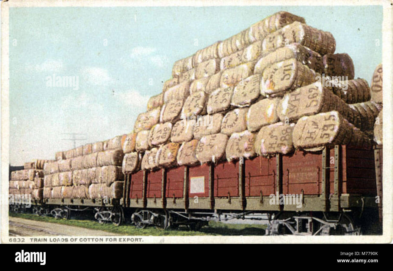 A historical photograph depicting trains loaded with cotton ready for ...