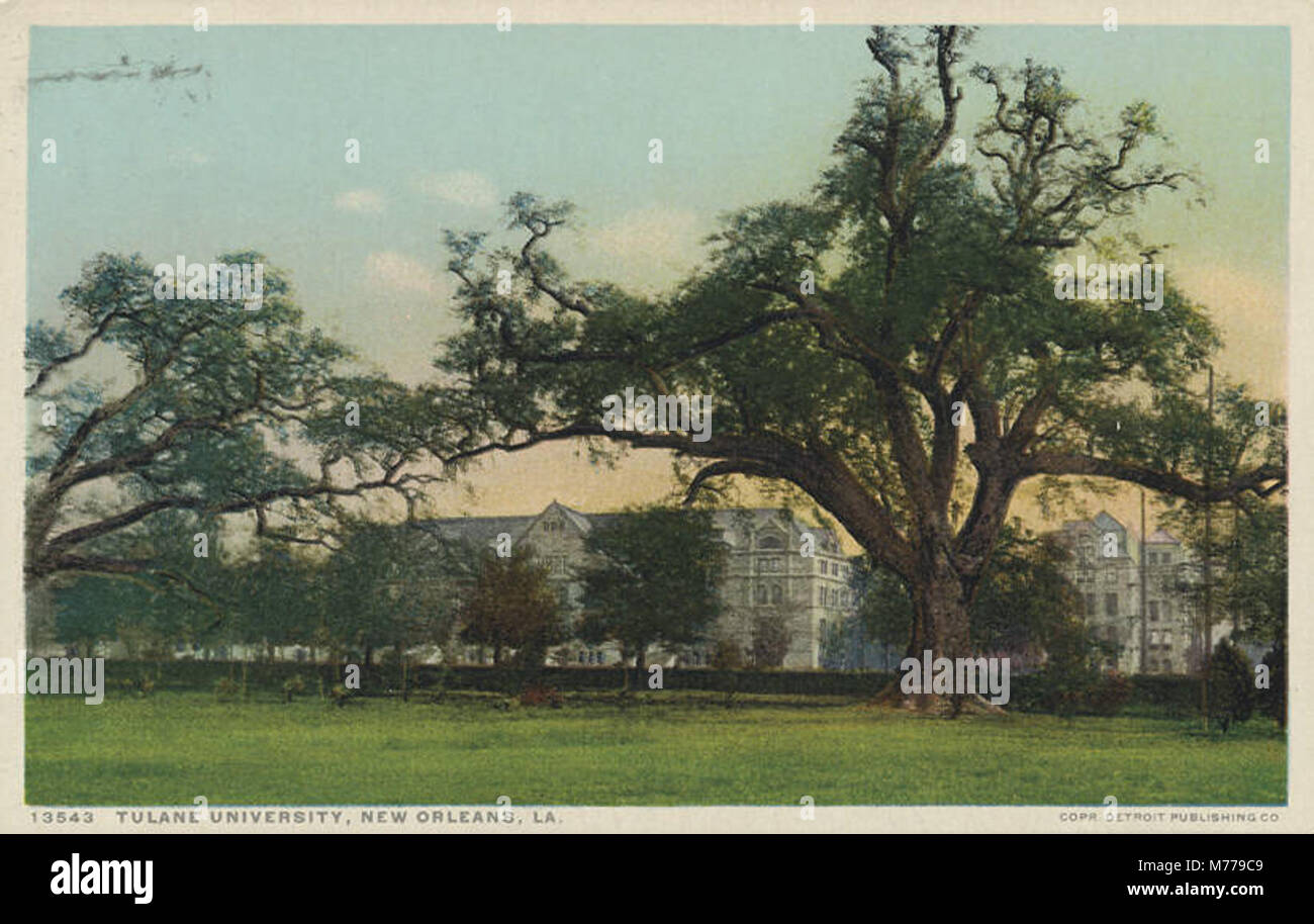 New orleans tulane campus hi-res stock photography and images - Alamy