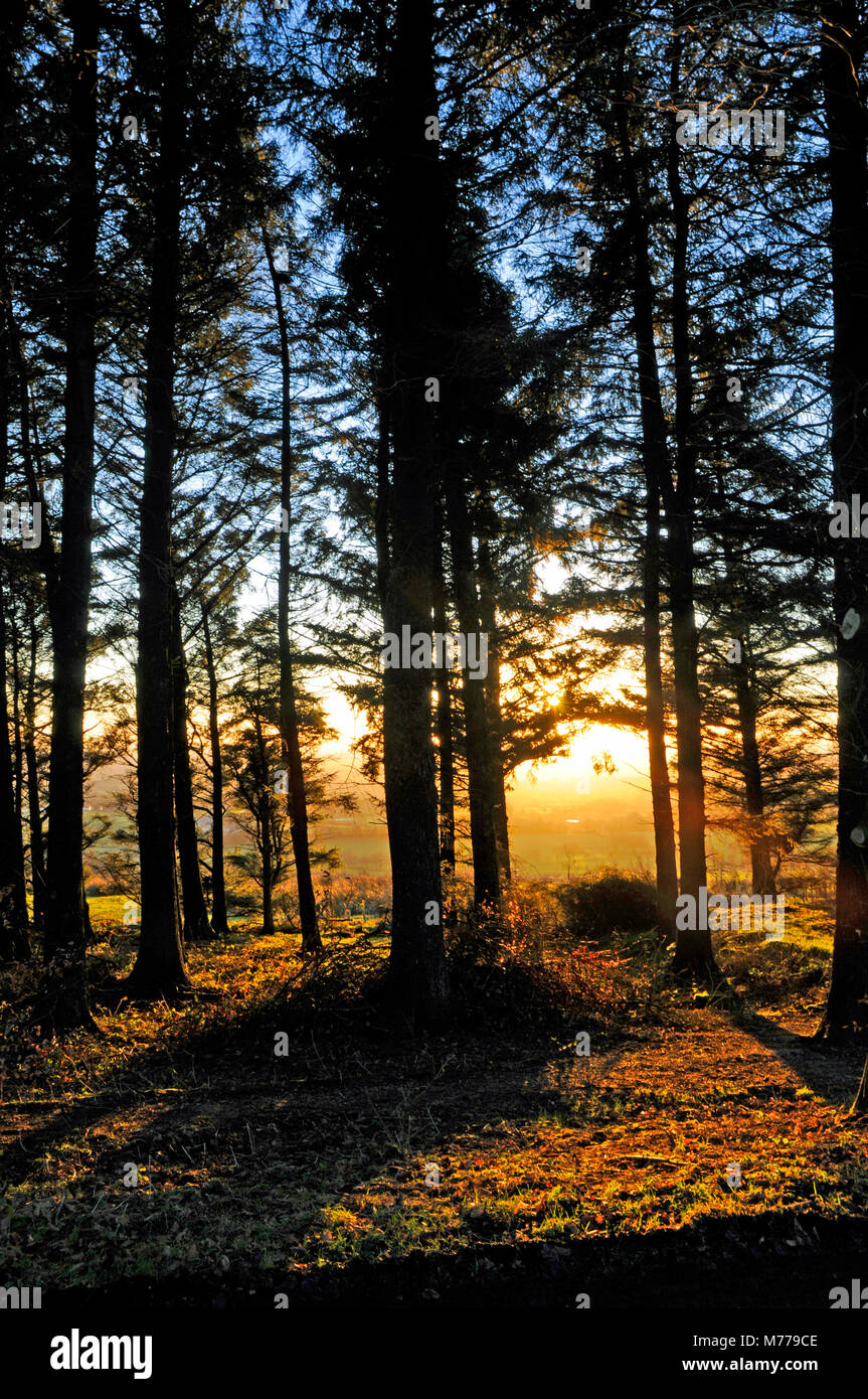 Winter Sunset on Beacon Fell Country Park Lancashire England Stock ...
