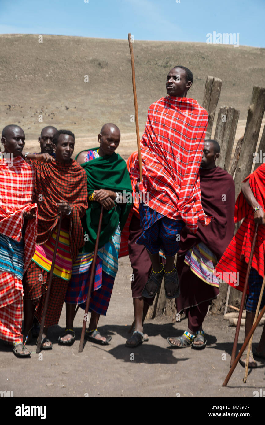 Masai tribesmen performing a dance in the Ngorongoro Conservation Area ...