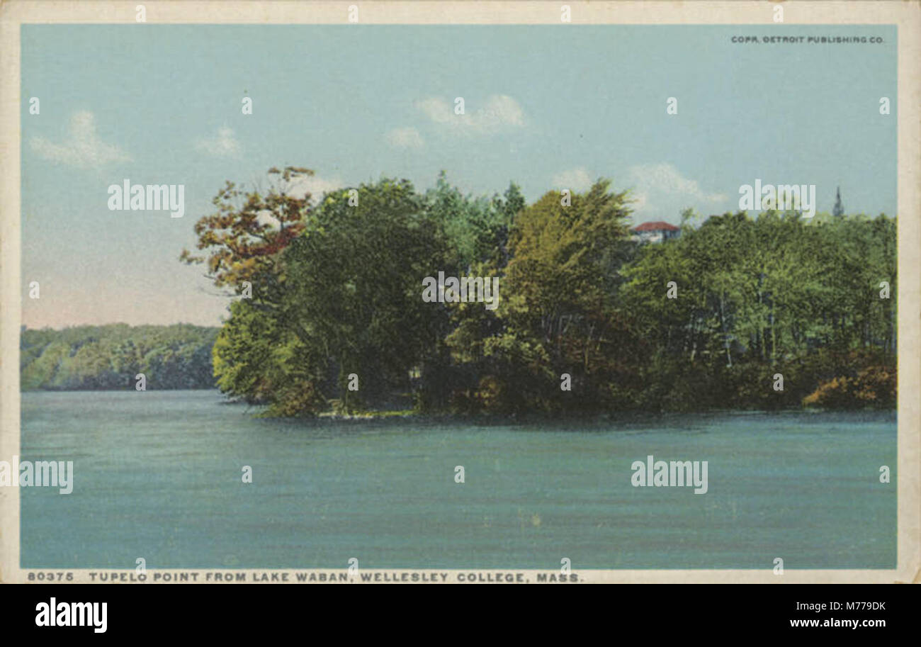 A scenic view of Tupelo Point from Lake Waban, capturing the natural beauty of the area and its ...