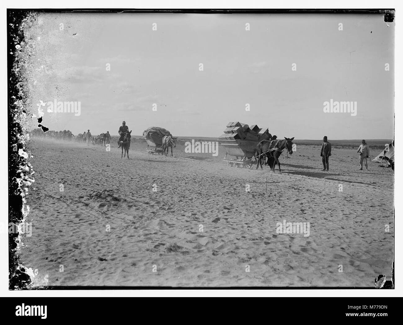 This image shows a Turkish supply train moving through the Sinai ...