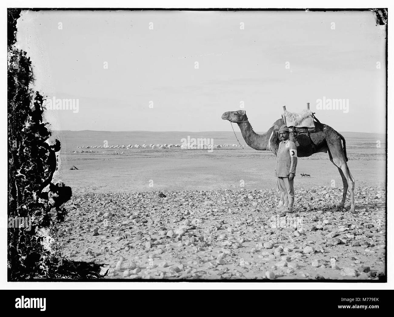 Turkish Red Crescent LOC matpc.08186 Stock Photo - Alamy